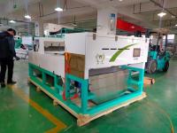 China High Accuracy Intelligent WYB4 Belt Garlic Color Sorter Machine with Wifi Remote Control with CE Certificate for sale