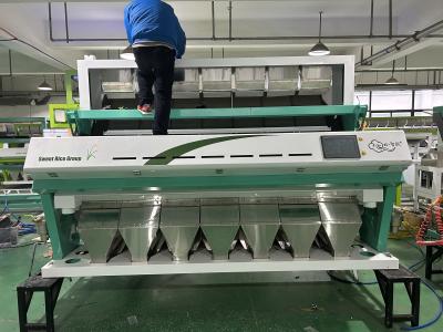 China High Accuracy Optical Beans Color Sorter Machine With CCD Camera for sale