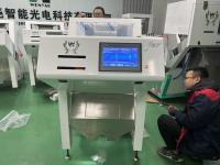 China Easy To Operate Coffee Bean Color Sorter 400 - 800t/h With Japan Nikon Lens for sale