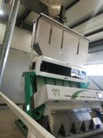 China 5 Chutes Moldy Wheat Color Sorter For Wheat for sale