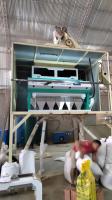 China 5 Chutes Moldy Wheat Color Sorter For Wheat for sale