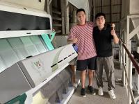 China 5 Chutes Moldy Wheat Color Sorter For Wheat for sale