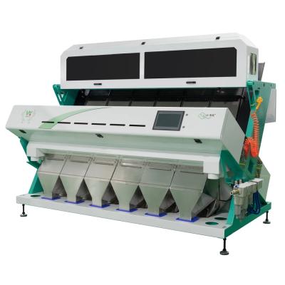 China 99.9% Accuracy Coffee Bean Seperator Raw and Roasted Beans Color Sorter With Stainless Steel Hopper LED Light for sale