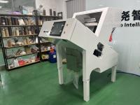 China America Intelligent Chip Garlic Color Sorter Machine with LED Light at Best Condition for sale