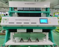China High Intelligent Ccd Full Color Sorter For Grains And Beans Cardamom Color Sorter for sale