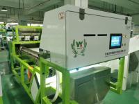 China Almond Nuts Color Sorter Belt Sorting Machine Macadamia Nuts Walnuts Color Sorter Vegetable  Color  Sorter for sale