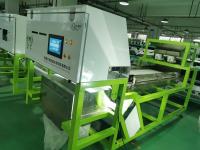 China Almond Nuts Color Sorter Belt Sorting Machine Macadamia Nuts Walnuts Color Sorter Vegetable  Color  Sorter for sale