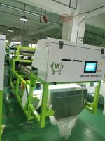 China Almond Nuts Color Sorter Belt Sorting Machine Macadamia Nuts Walnuts Color Sorter Vegetable  Color  Sorter for sale