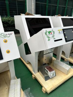 China Intelligent Buckwheat Ccd Color Sorter Optical Sorting Machine for sale