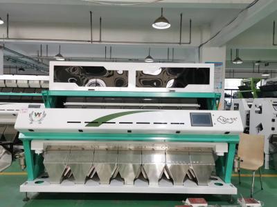 China Wenyao Coffee Bean Hazelnut Cardamom Processing Colour Sorting Machine Factory Color Sorter Machine for sale