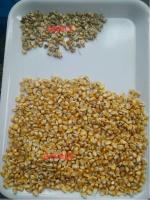 China Raspberry Color Sorter Color Sorting Machine Grain Rice Wheat Coffee Bean Nuts Color Sorter for Frozen Strawberry Blueberry for sale