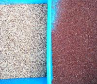 China Raspberry Color Sorter Color Sorting Machine Grain Rice Wheat Coffee Bean Nuts Color Sorter for Frozen Strawberry Blueberry for sale
