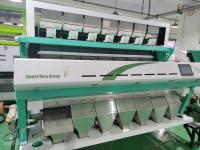 China WENYAO Seed Color Sorting Machine With 99.99% Sorting Accuracy for sale