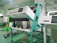 China Agriculture Seed Sorting Sunflower Seeds Color Sorter Machine for sale