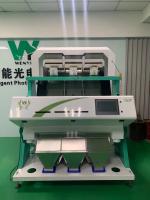 China WENYAO Bread Worm Color Sorting Mealworm Sorting Machine for sale
