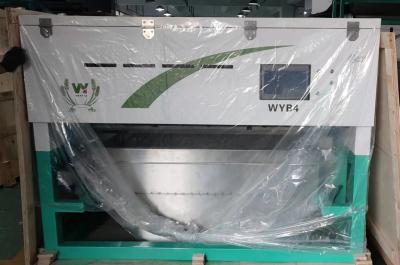 China Belt Candlenut  Color Sorter KJumby Bean Color Sorter Glass  Color Sorter for sale