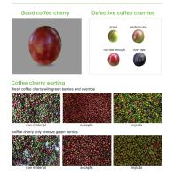 China Mini Belt Cranberry Blueberry Color Sorter High Coffee Cherry Color Sorter Machine for sale