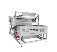 China Stainless Steel Water-Proof Frozen Straw Berry Blue Berry Color Sorter Color Sorter Machine for sale