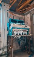 China Self Design High Frequency Ejectors Sesame Color Sorting Machine From WENYAO for sale