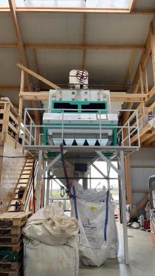 China Gum Mastic Coarse Cereal Chenopodium Sorghum Quinoa Color Shorter Colour Sorter Machine for sale