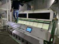 China Multifunction Pepper Red Chili Color Sorter Machine with Air Pressure 0.6-0.8MPa for sale