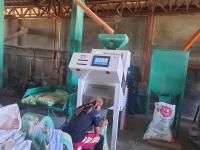 China Wenyao Automatic Raisin Color Sorting Machine Intelligent Nut Color Sorter for sale