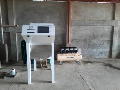 China Wenyao Professional Cashew Nut Color Sorting Machine Color Sorter For Nut Separation for sale