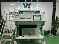 China Wenyao Chinese Factory Color Sorter Millet Color Sorting Machine For Grain Rice for sale
