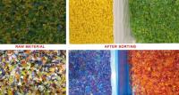 China Optical Plastic Color Sorting Machine And Food Processing Machine For Sorting Plastic Pet Granules Flakes With CCD Sensor for sale