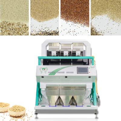 China Wenyao 3 Chute Intelligent Color Sorter Sesame Color Sorting Machine for sale