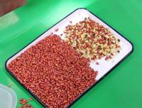 China Wenyao Automatic Peanut Color Sorter Multifunction Nut Color Sorting Machine for sale
