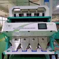 China Wenyao Automatic Hazelnut Color Sorter Multifunction Nuts Color Sorting Machine for sale