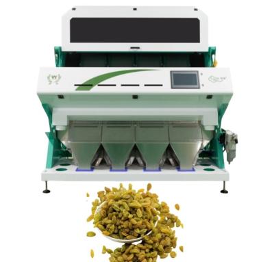 China Wenyao Color Sorter Multifunction Raisin Color Sorting Machine for sale