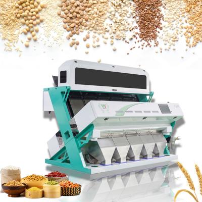 China Wenyao 5 Chute Intelligent Color Sorting Machine Multifunction Wheat Color Sorter for sale
