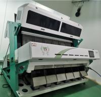 China Agricultural Seed Sorting GORDON EURYALE SEED Color Sorter Machine for sale