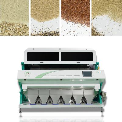 China Wenyao Intelligent CCD Camera 6 Chute Color Sorter Sesame Color Sorting Machine for sale