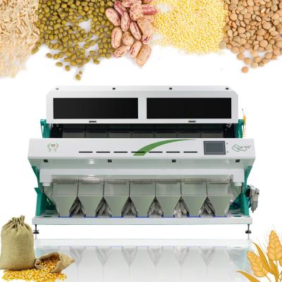 China Powerful SEMEN TRICHOSANTHIS Color Sorter Machine Sesame Seeds Color Sorting Machine for sale