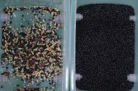 China Wenyao Color Sorter Black Bean Color Sorting Machine for sale