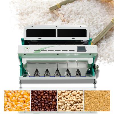 China Wenyao Automatic Color Sorter Coffee Bean Color Sorting Machine for sale