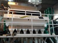China Wenyao Intelligent Color Sorter Chickpea Color Sorting Machine for sale