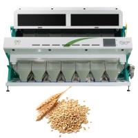 China Wenyao Intelligent 7 Chute Color Separation Machine Wheat Color Sorter for sale