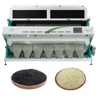 China Wenyao Automatic 7 Chute Color Sorting Machine Sesame Color Sorter for sale