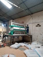 China Wenyao 7 Chute Chinese Manufacturer Color Sorting Machine Chickpea Color Sorter for sale