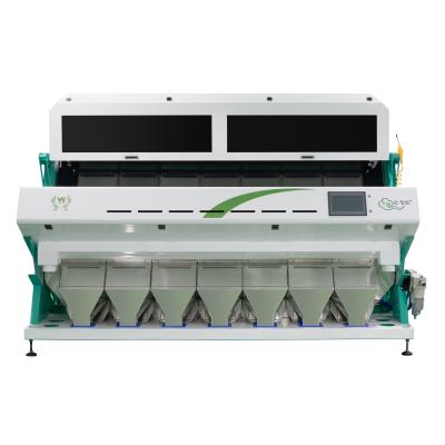 China Wenyao Raisin Color Sorter Nuts Color Sorting Machine for sale
