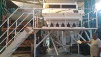 China Wenyao CCD Camera Intelligent Color Sorter Raisin Color Sorting Machine for sale