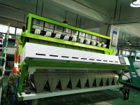 China 10 T/H  Maize Color Sorter Machine Corn Color Sorting And Cleaning Machinery for sale