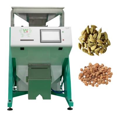 China Wenyao Professional Color Sorting Machine Automatic Cardamom Color Sorter for sale