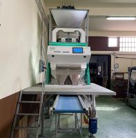 China Wenyao Professional Beans Color Sorter Cardamom Color Sorting Machine for sale