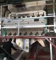China Coffee Cherry Soybean CCD Mini Seeds Color Sorter Machine Grain Color Sorting Machine for sale