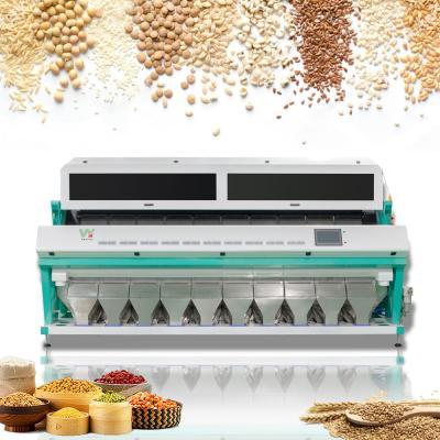 China Wenyao 10 Chute High Sorting Speed Color Sorter Multifunction CCD Camera Wheat Color Sorting Machine for sale
